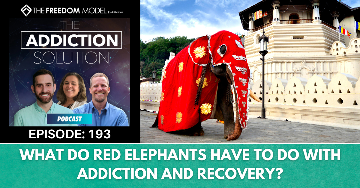 What Do Red Elephants Have to Do with Addiction and Recovery?